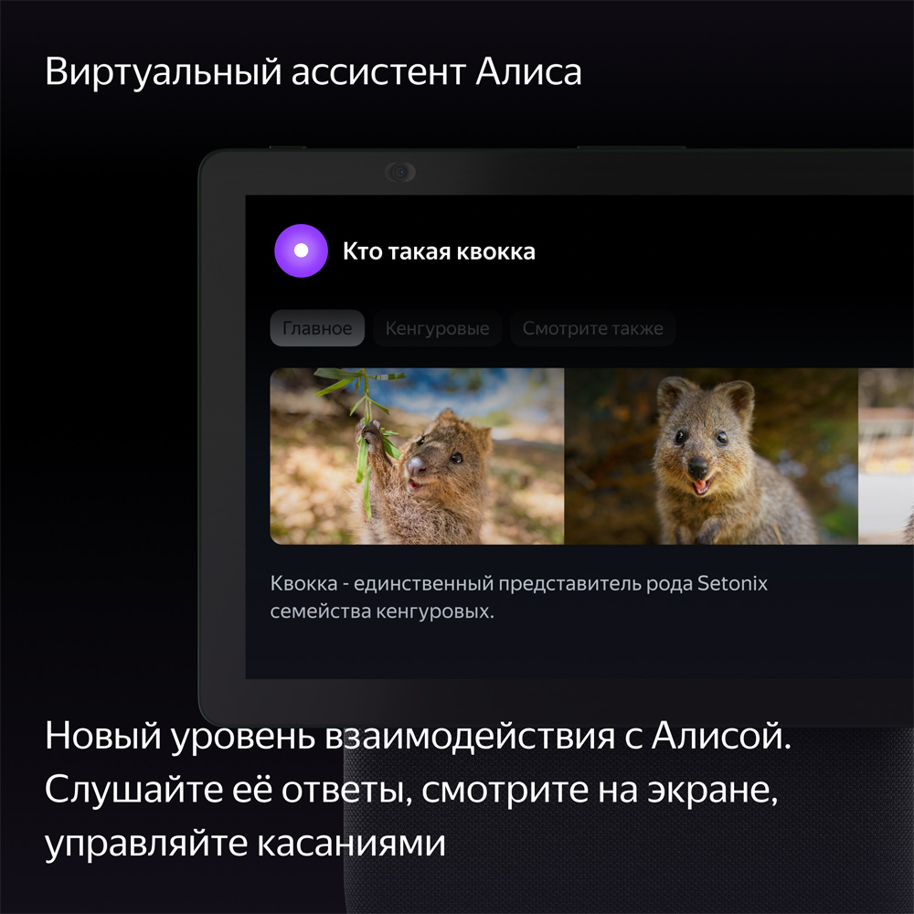Умная колонка Яндекс Станция Дуо Макс с Zigbee Зеленая: купить по цене ...