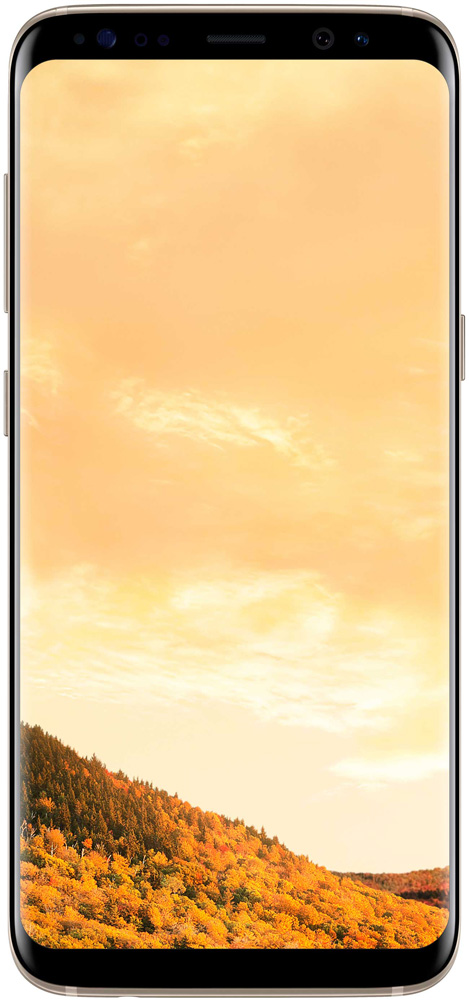 Samsung Galaxy S8 LTE Dual sim gold: купить по цене 5 990 рублей в ...