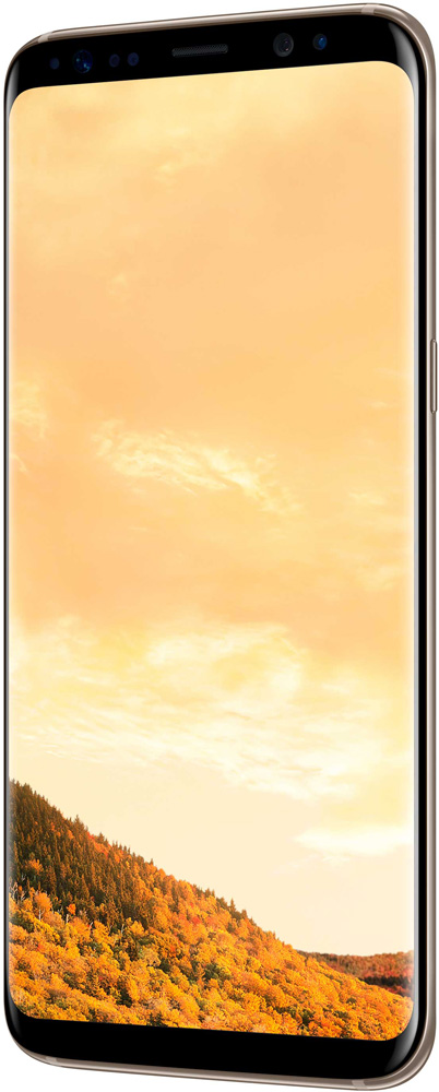 Samsung Galaxy S8 LTE Dual sim gold: купить по цене 5 990 рублей в ...