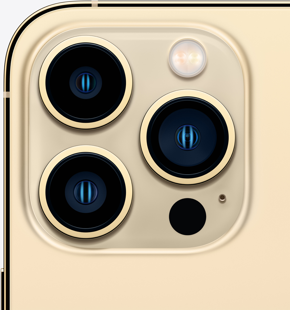 Смартфон Apple iPhone 13 Pro Max 128Gb Золотой: купить по выгодной цене ...