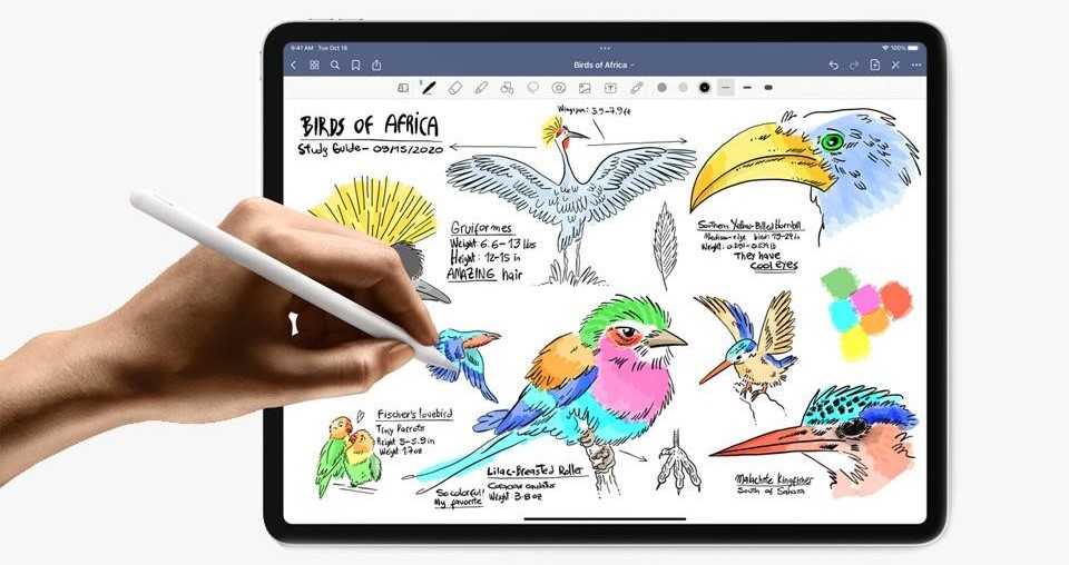 Планшет Apple iPad 2022 Wi-Fi Cell 10.9" 256Gb Розовый: купить по ...